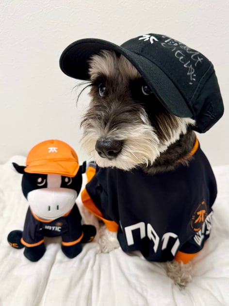 Bowwow Paulo - Fnatic Community